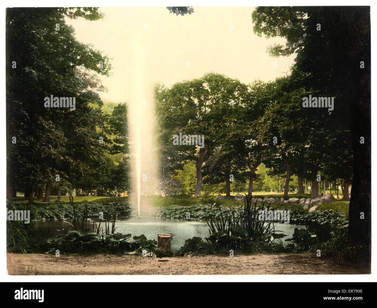 Under the oaks, Harzburg, Hartz, Germany Stock Photo - Alamy