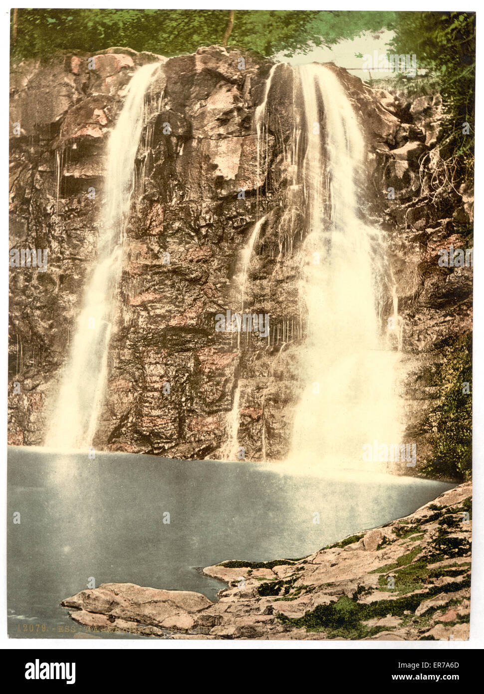 Crub hi-res stock photography and images - Alamy