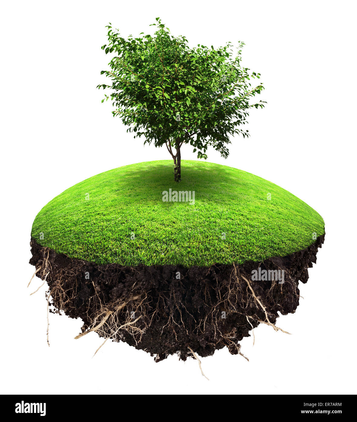 Grass Cut Out Stock Images & Pictures - Alamy