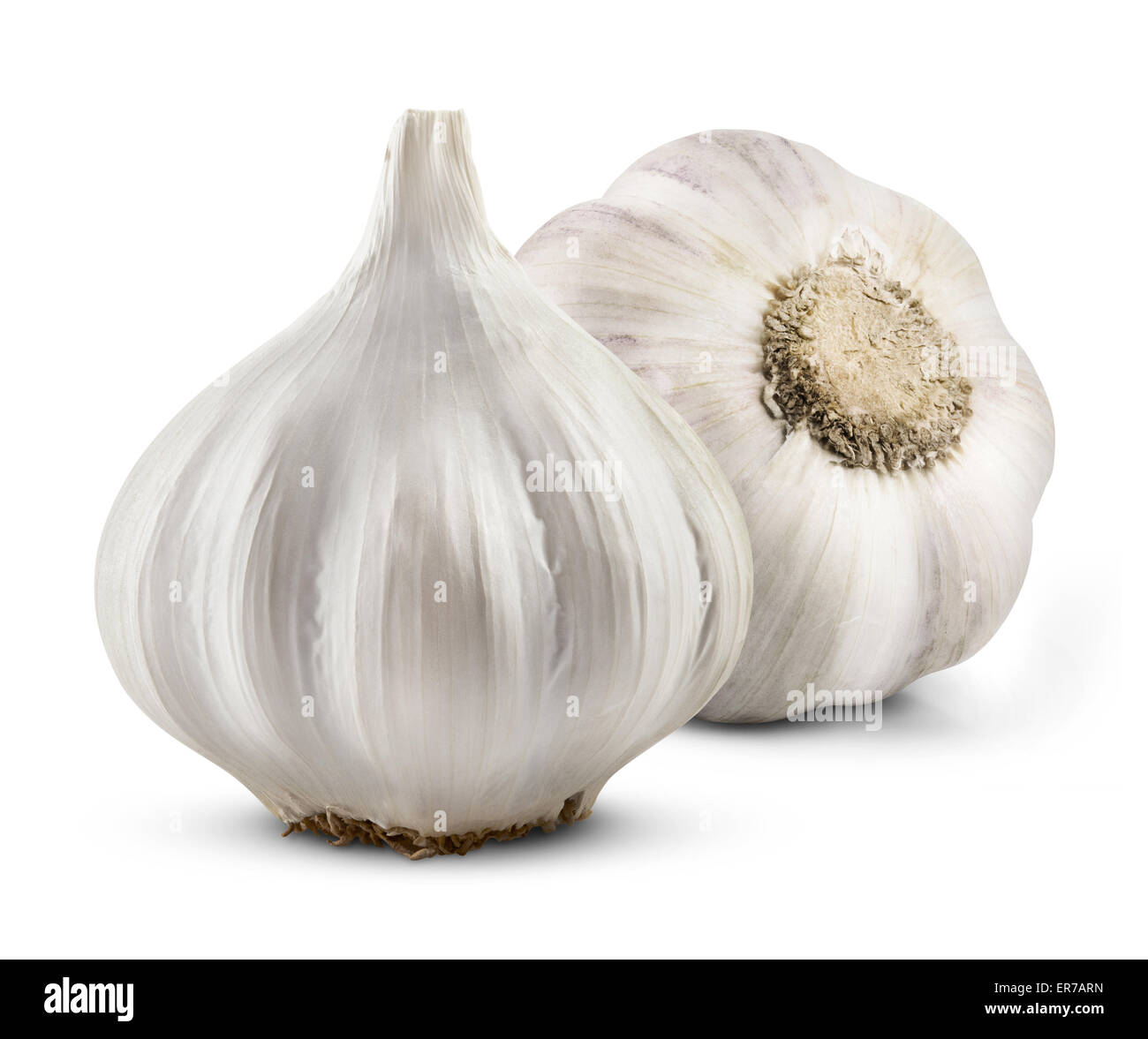 White garlic isolated on white background Stock Photo - Alamy