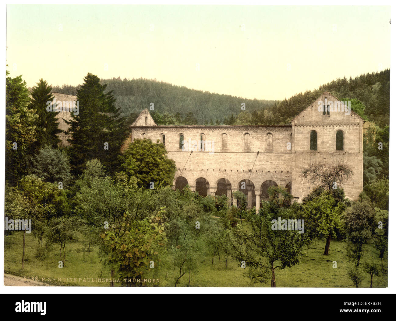 Ruins of the convent, Paulinzella, Thuringia, Germany Stock Photo - Alamy
