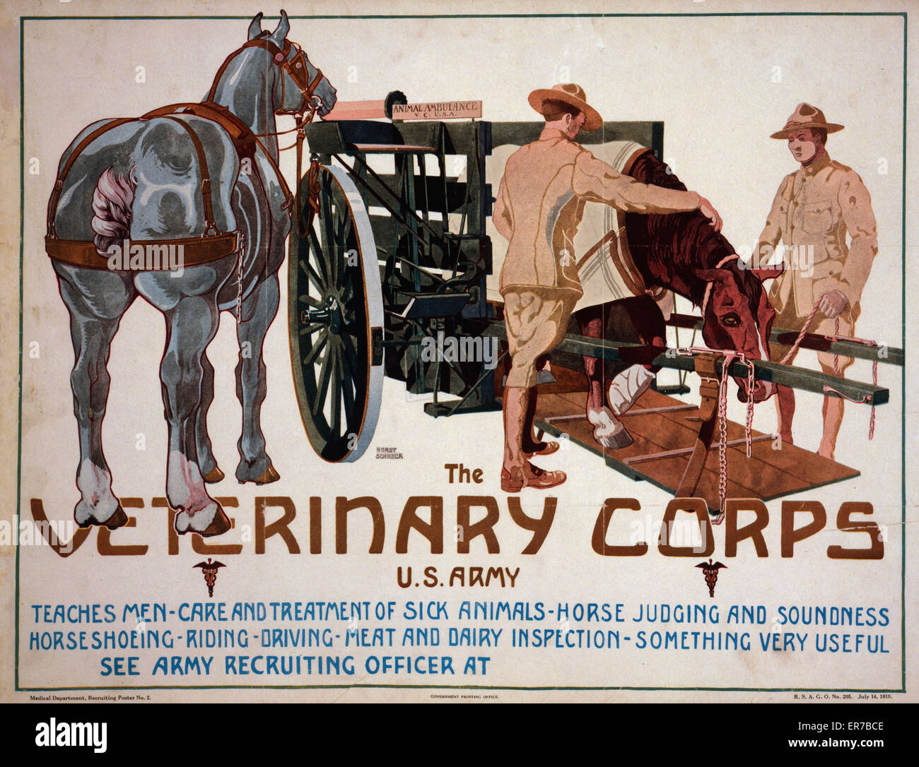 The Veterinary Corps, US Army, teaches men care and treatmen Stock ...