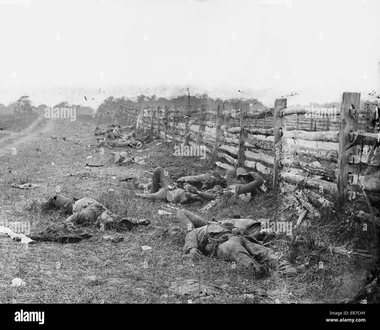 Dead on a Black and White Stock Photos & Images - Alamy