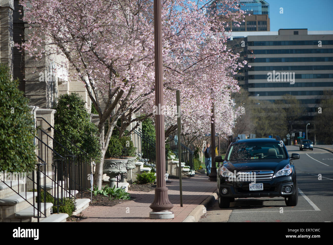 Rosslyn va hi-res stock photography and images - Alamy