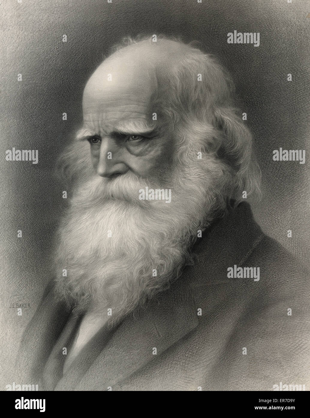 William Cullen Bryant Stock Photo - Alamy
