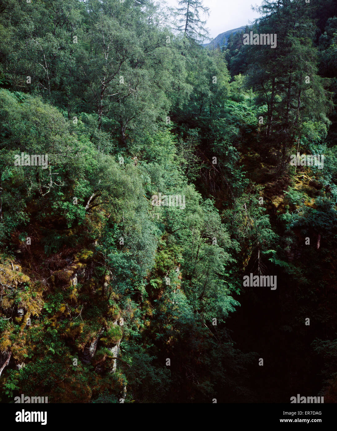Corrieshalloch Gorge Near Ullapool High Resolution Stock Photography ...