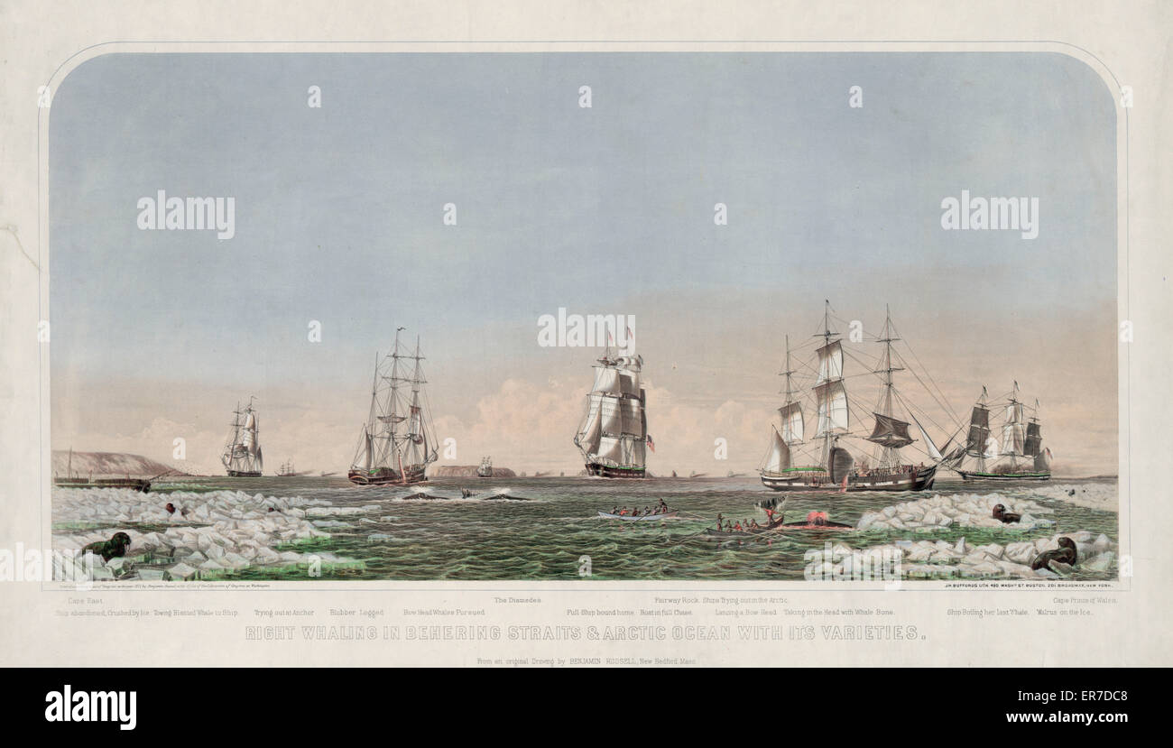 Right whaling in Behering Straits & Arctic Ocean with its va Stock ...