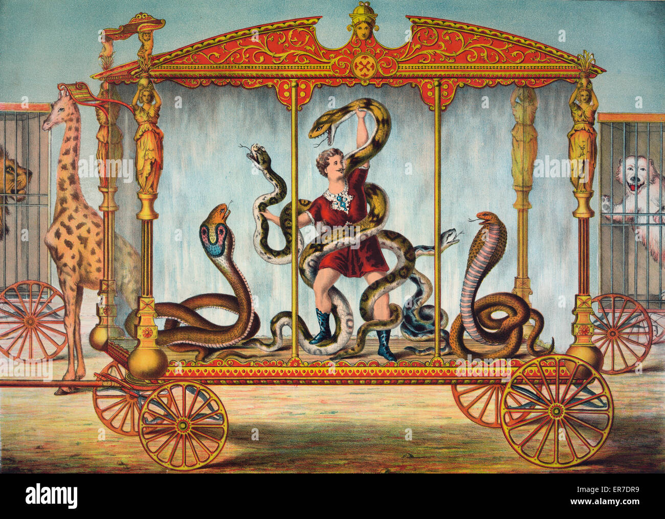 The snake wagon Stock Photo - Alamy