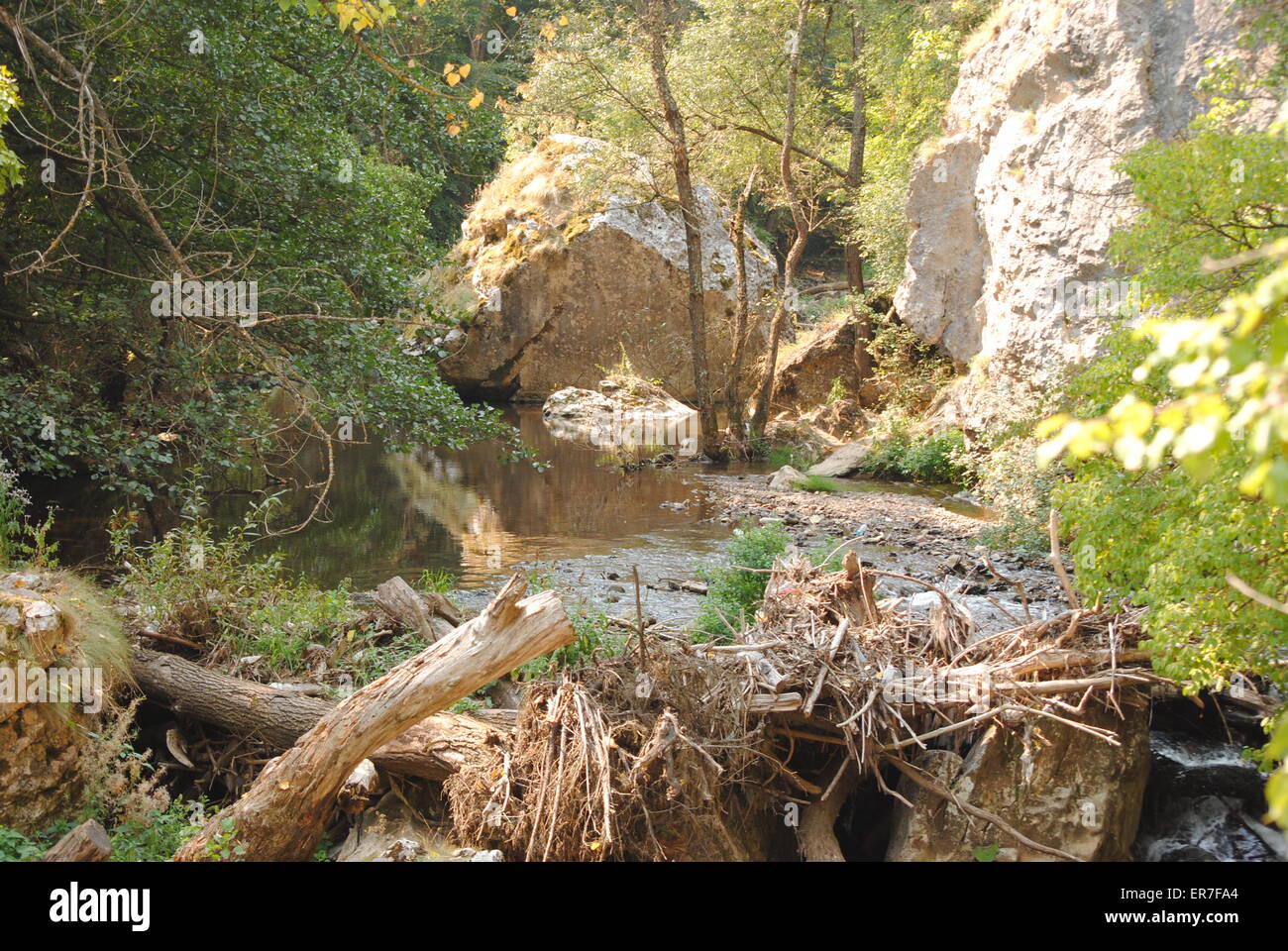 Unpolluted river hi-res stock photography and images - Alamy