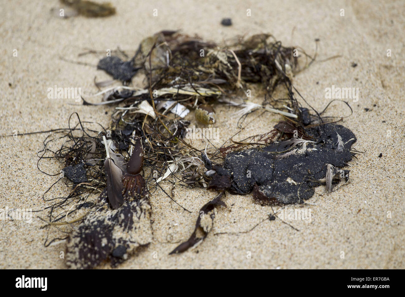 Tar like substance hi-res stock photography and images - Alamy