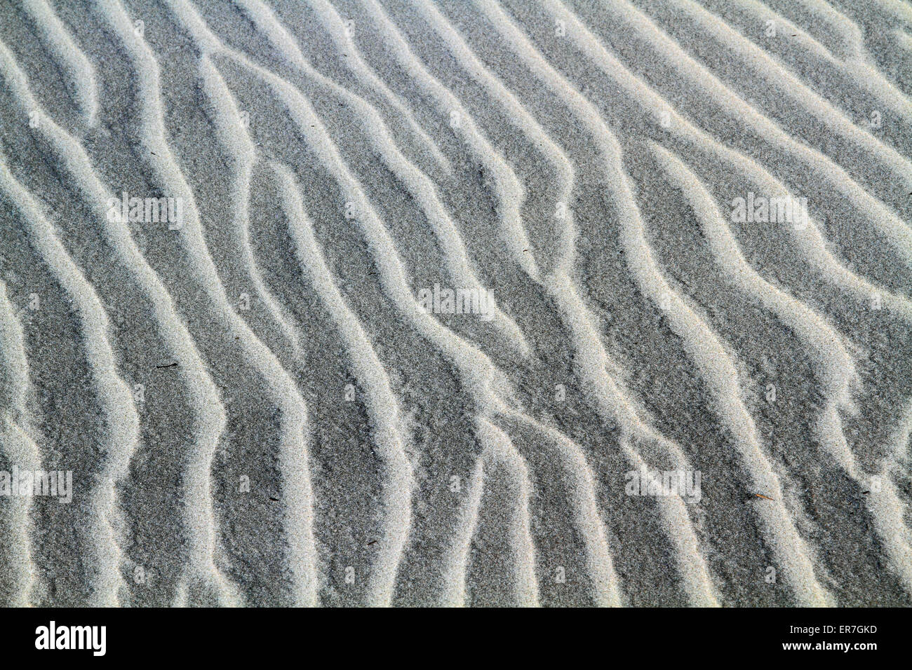 Sand ridges on the beach at Wildwood Crest, New Jersey Stock Photo - Alamy
