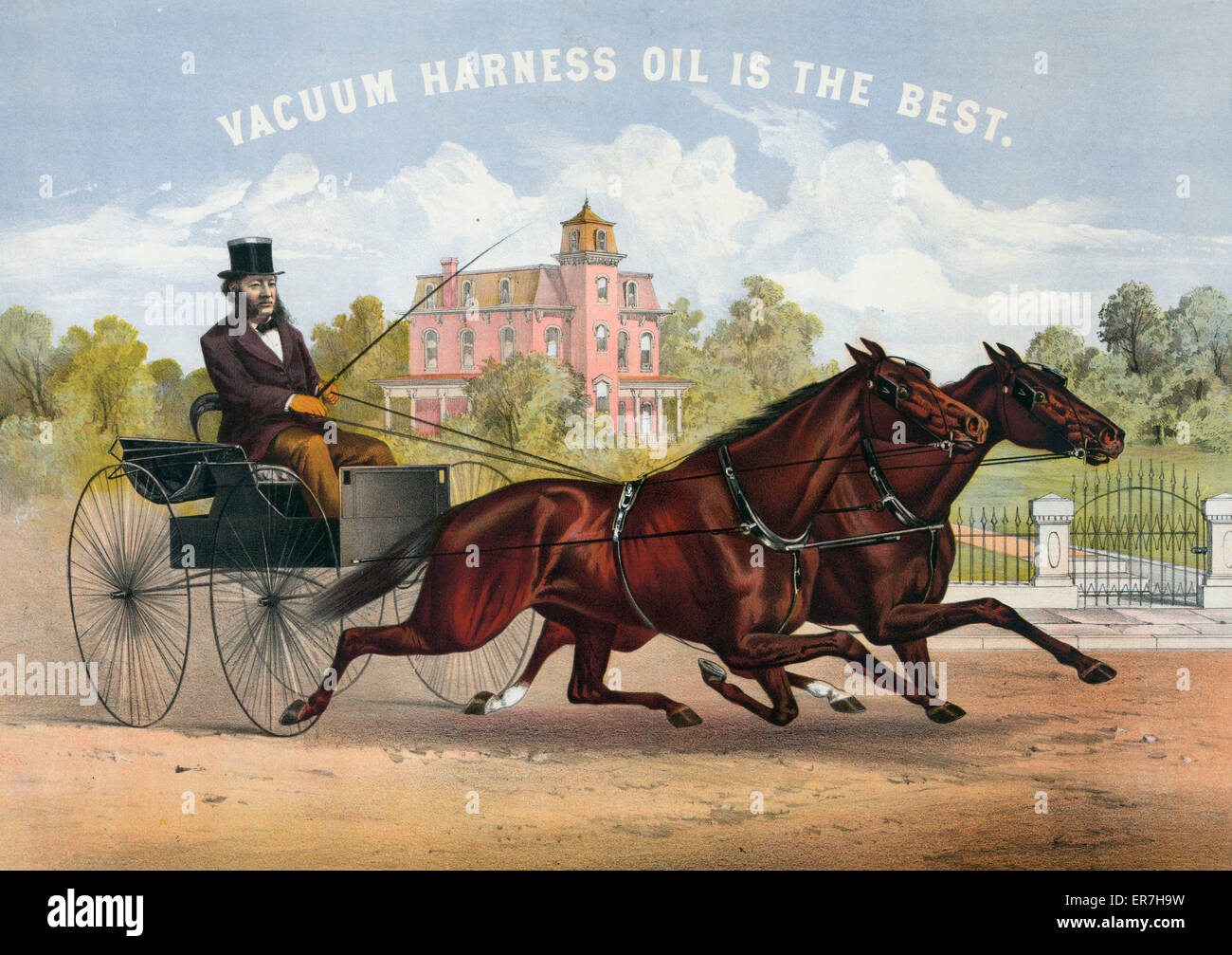 Small hopes & Lady Mac Stock Photo - Alamy