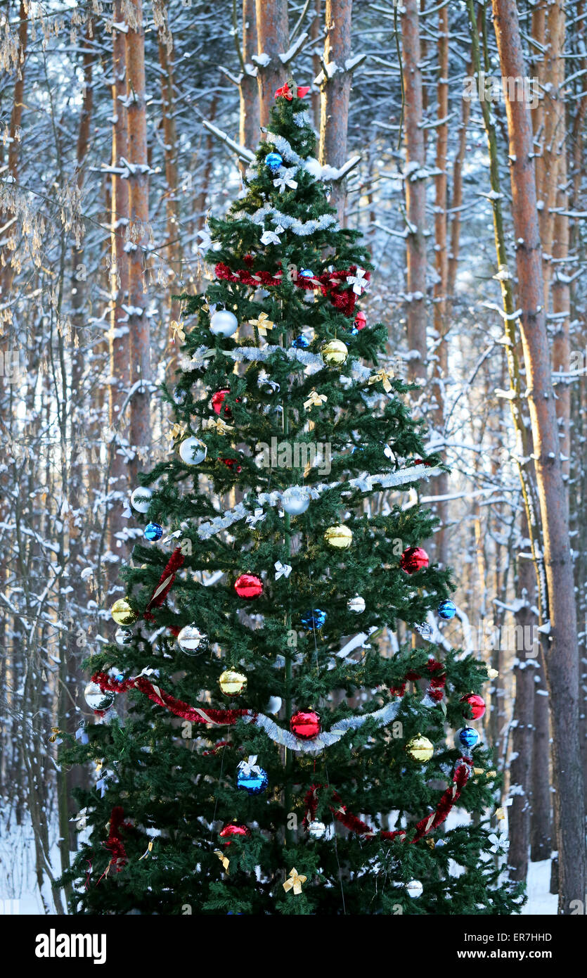 Christmas tree close up toys hi-res stock photography and images - Alamy