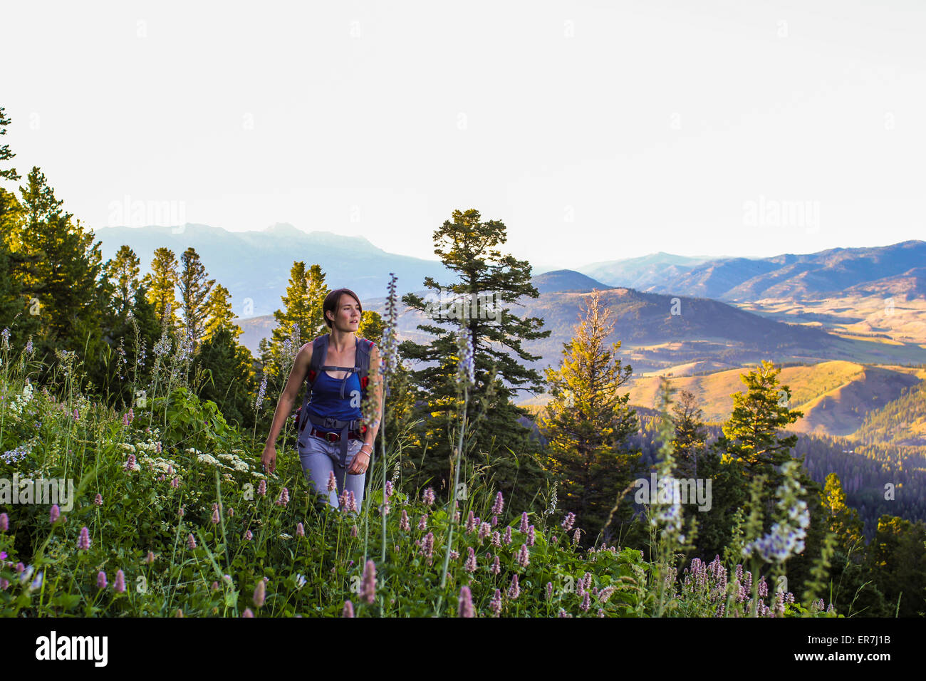 Woman hikes in Montana's backcountry Stock Photo - Alamy