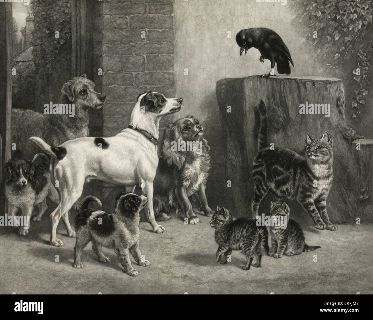 A stump orator Stock Photo - Alamy