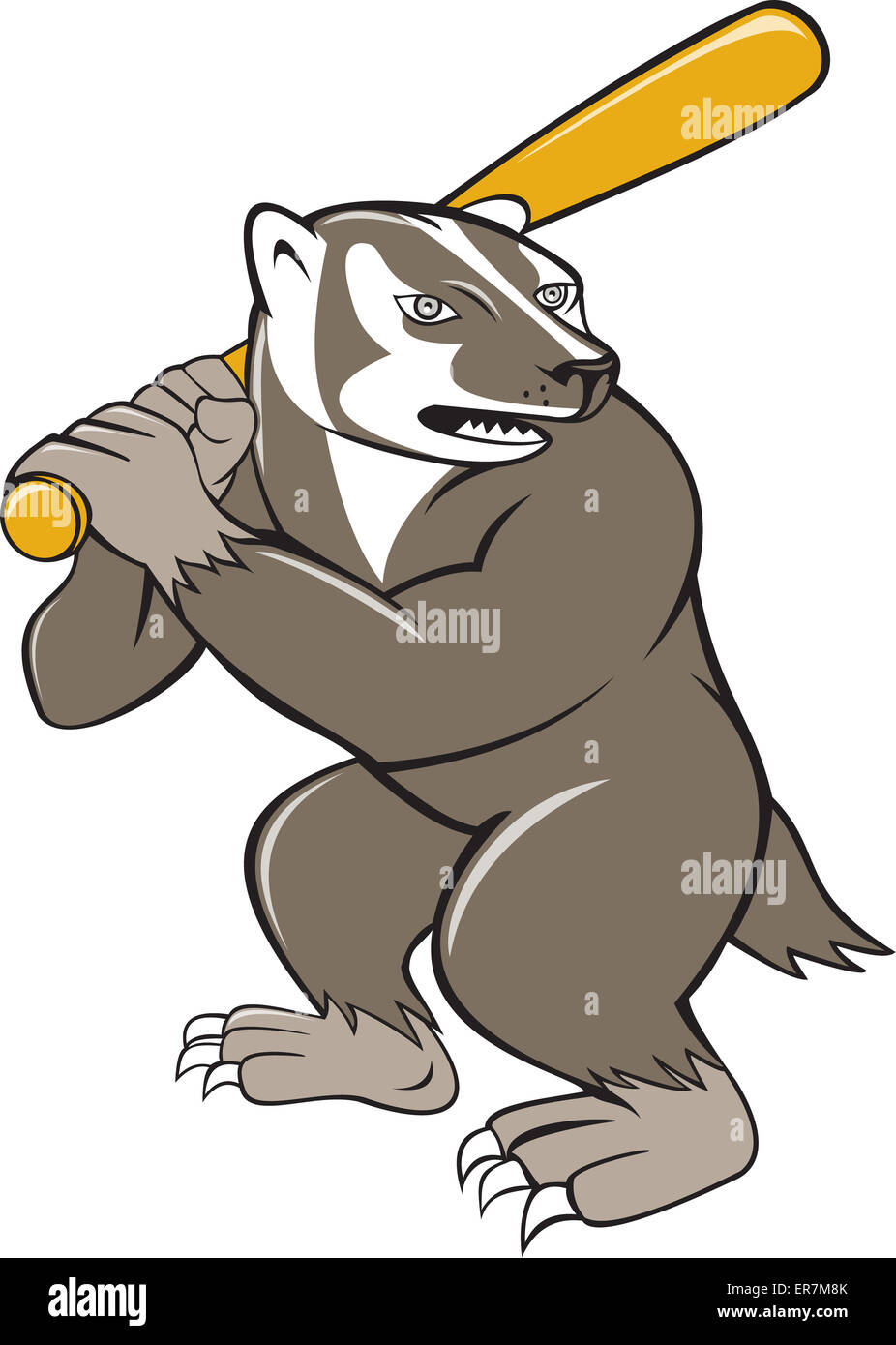 Illustration of a badger baseball player holding bat batting set on ...