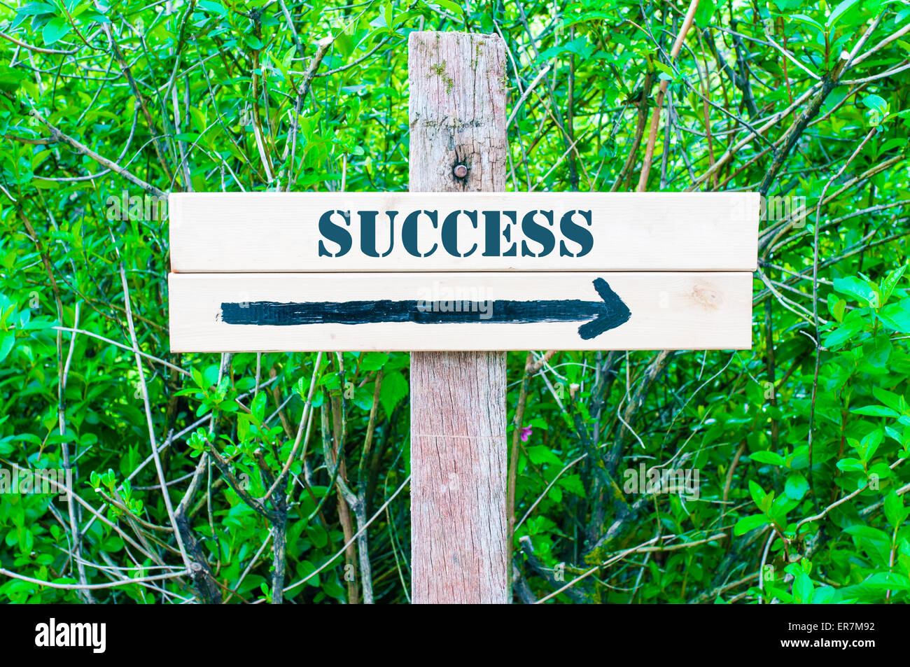 SUCCESS written on Directional wooden sign with arrow pointing to the ...