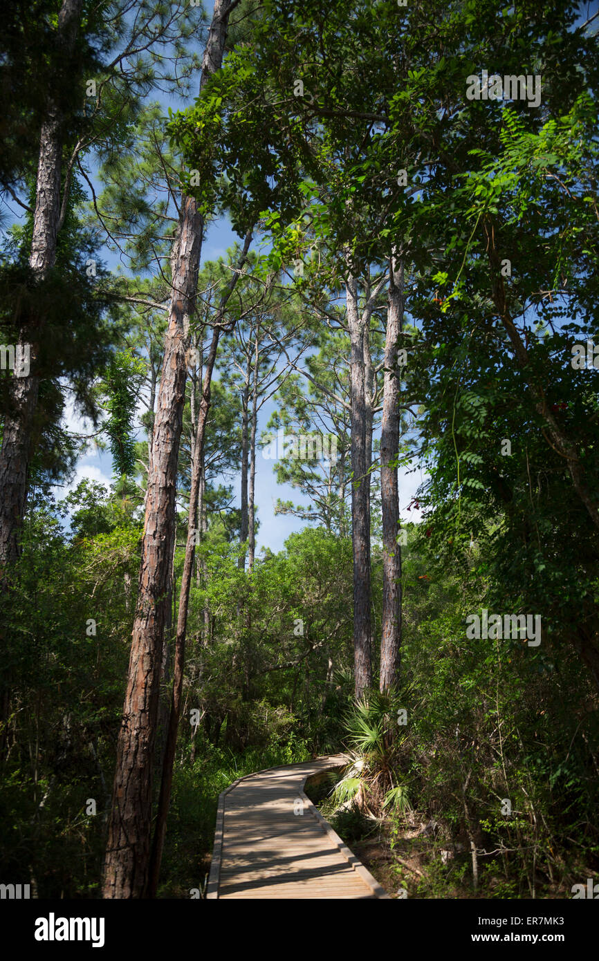 Eastpoint, Florida - A boardwalk trail at Apalachicola National ...