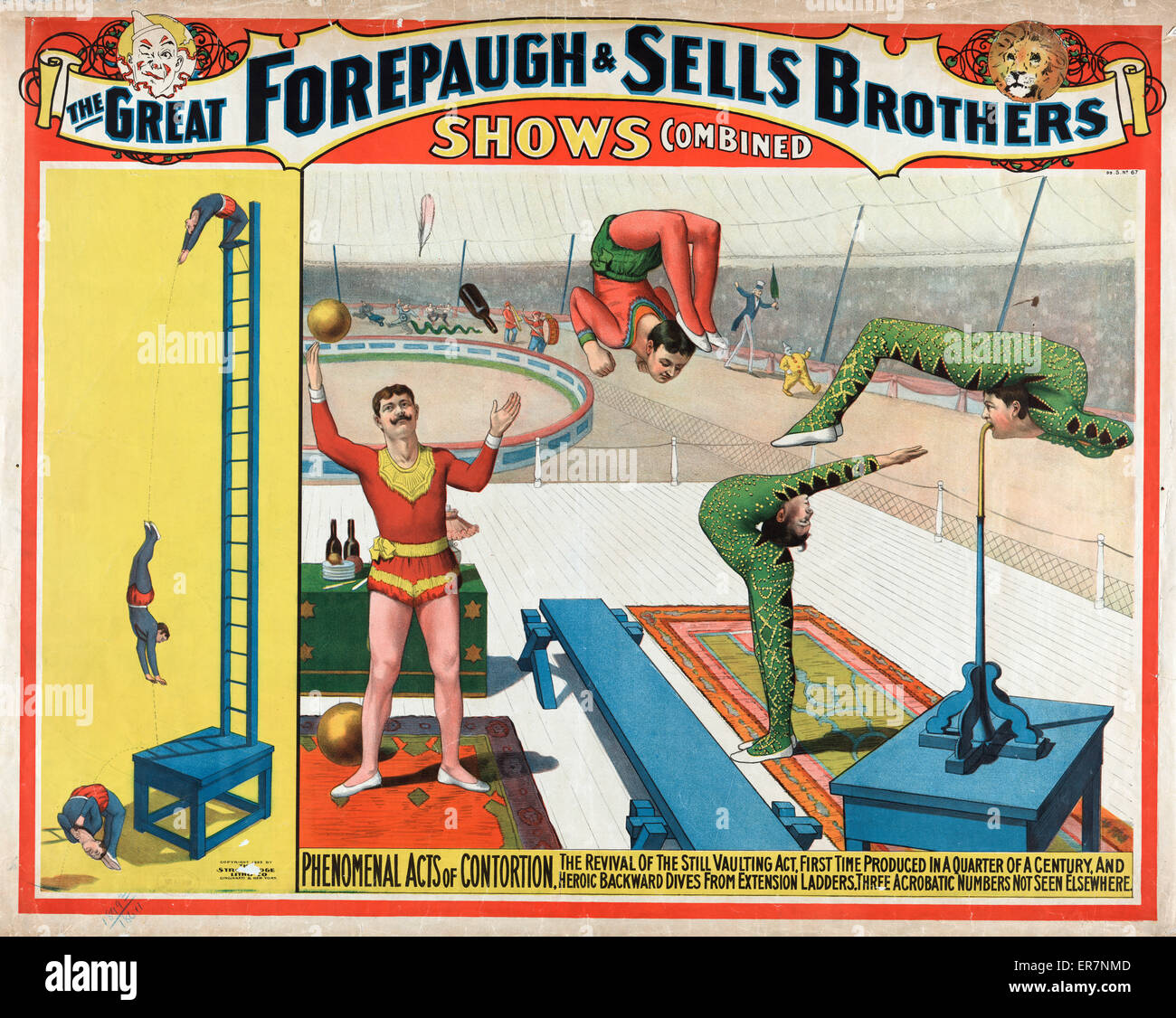 Contortion Acts High Resolution Stock Photography and Images - Alamy