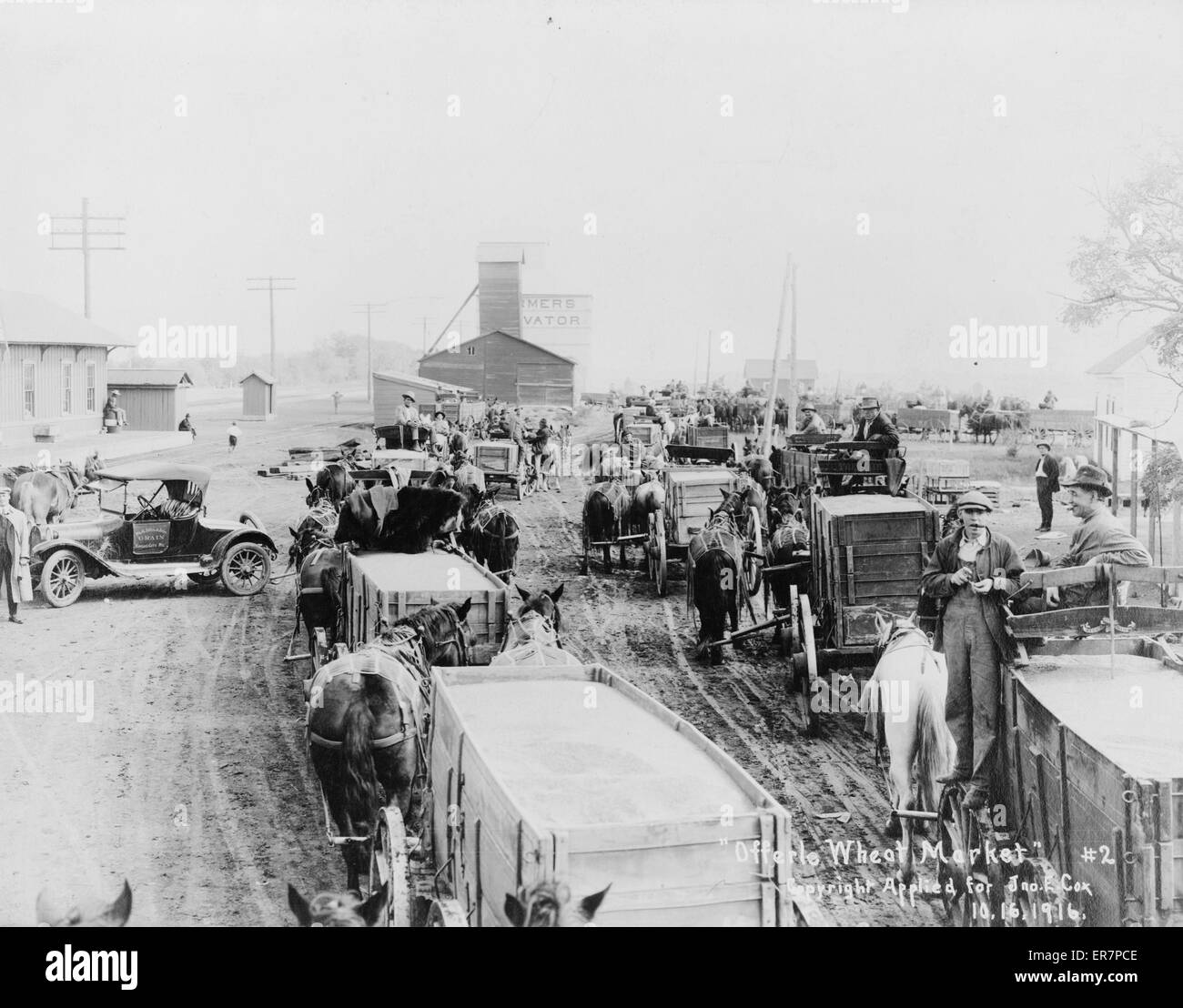 Offerle wheat market Stock Photo - Alamy