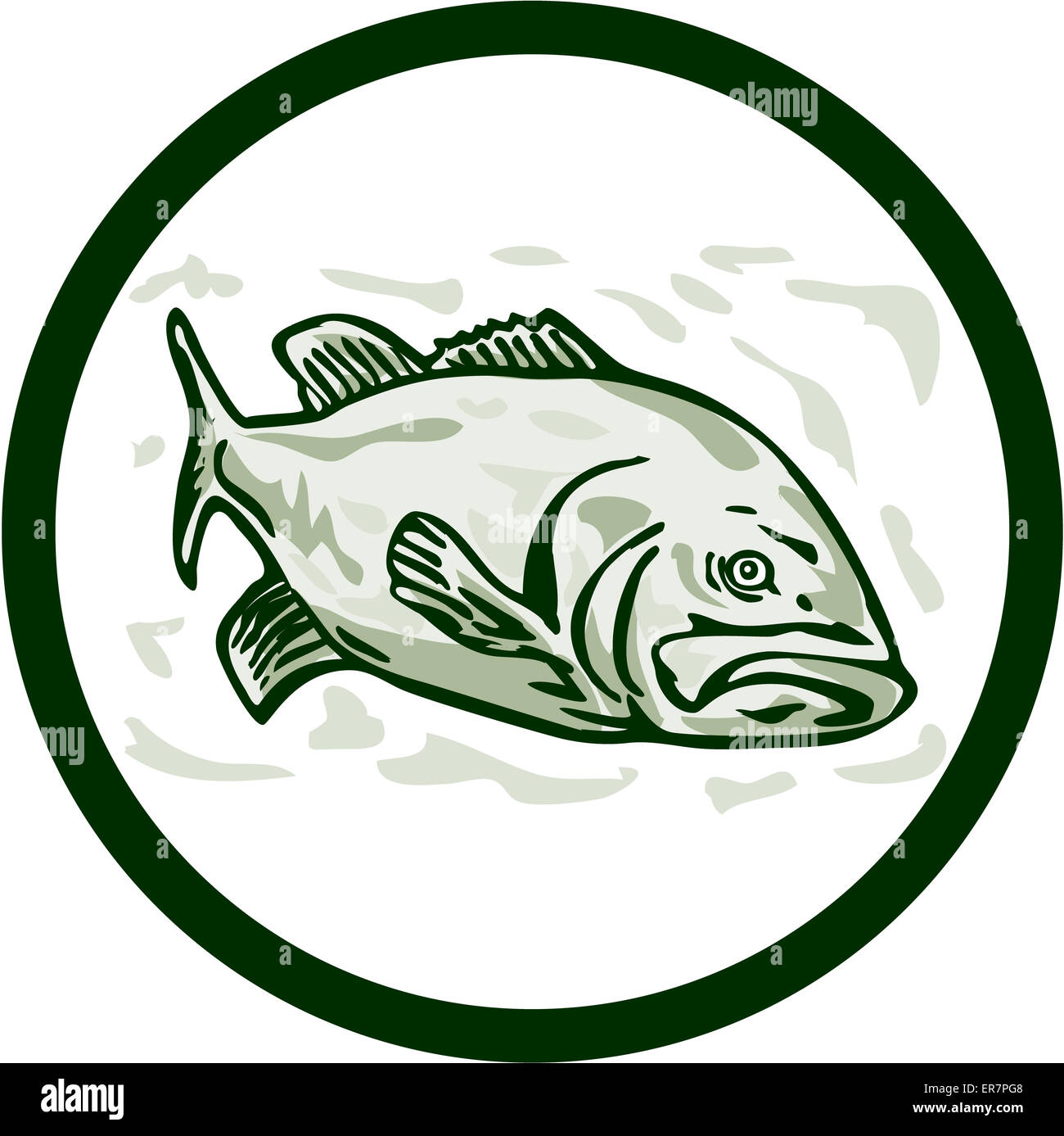 Illustration of a largemouth bass fish facing front side set inside ...