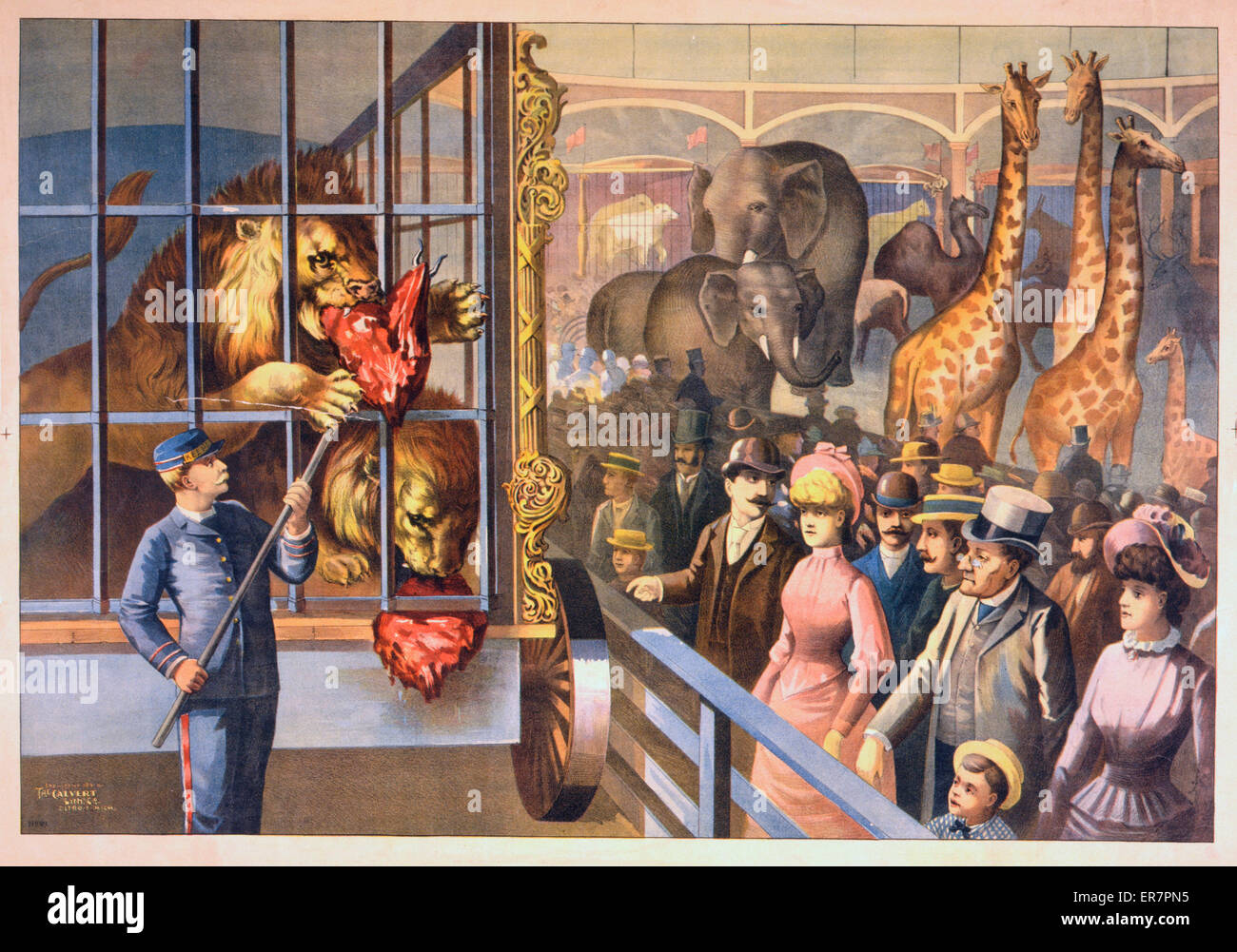 Circus Animals In Cages