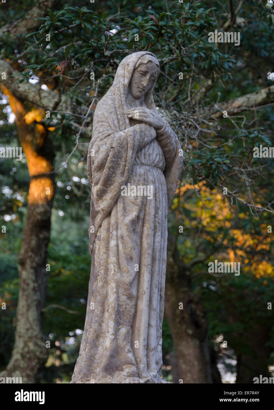 Mary watching over Stock Photo - Alamy