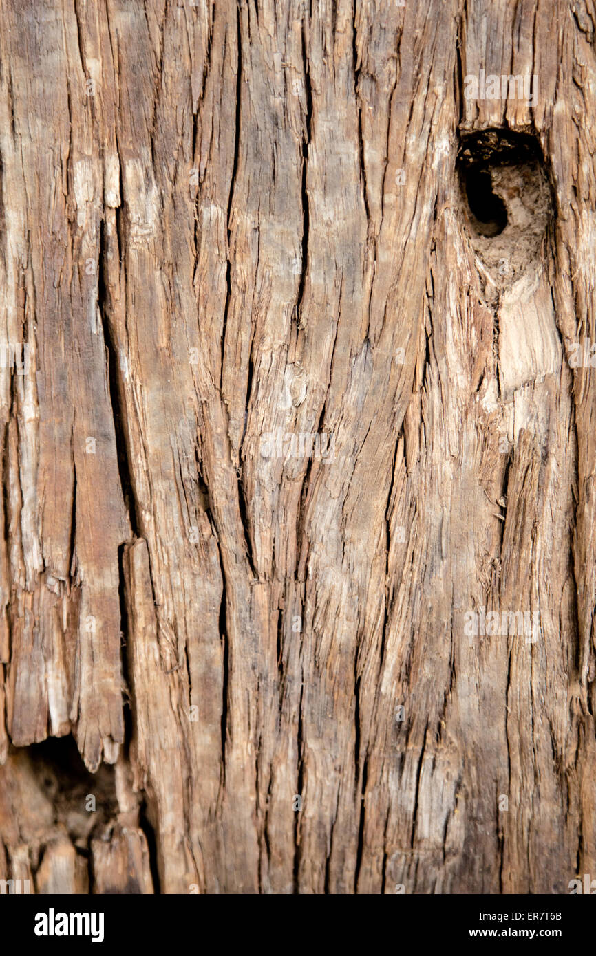 close up old timber texture Stock Photo - Alamy