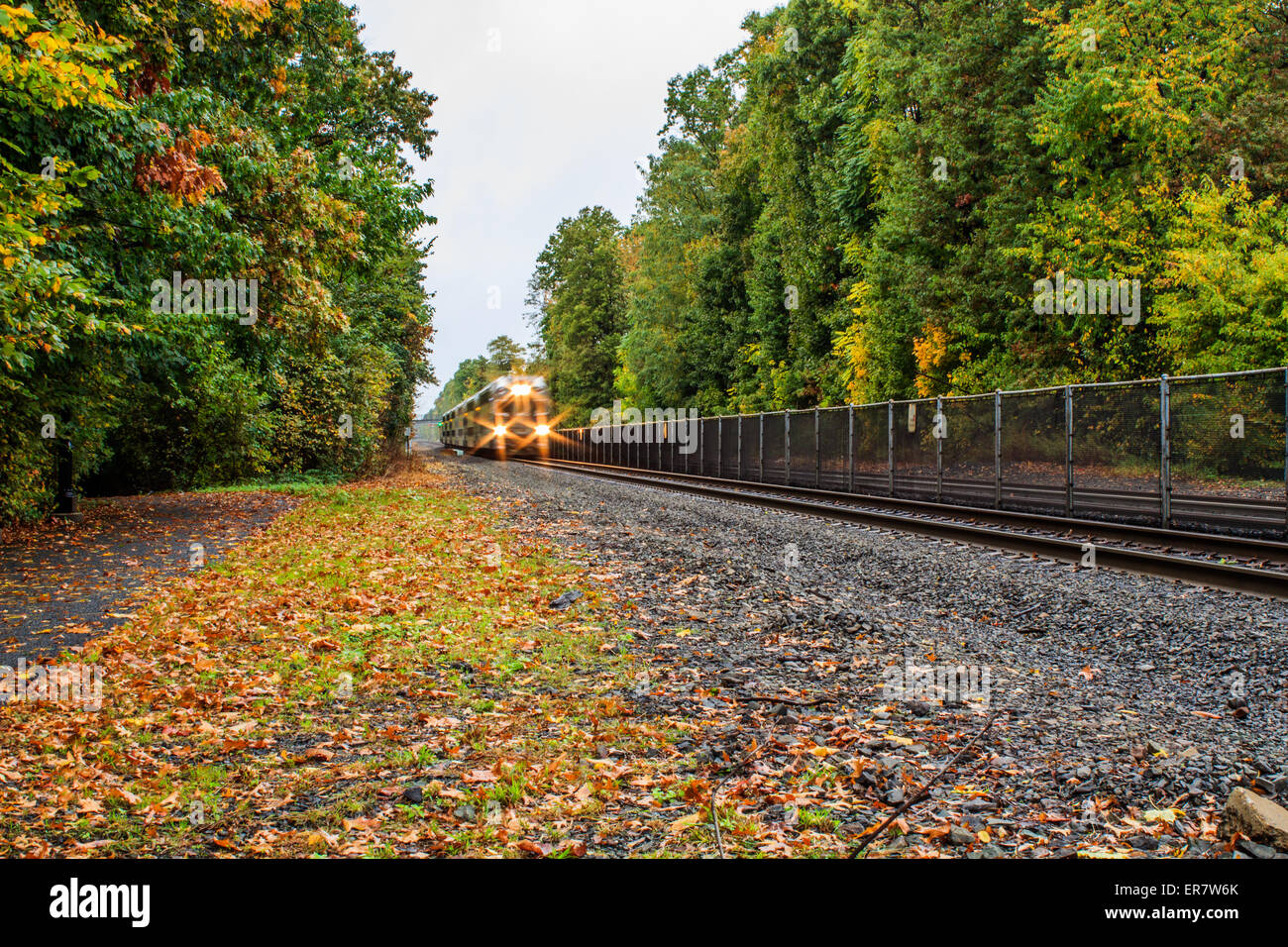 Moving train in fall season Stock Photo - Alamy