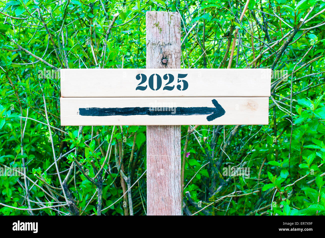 YEAR 2025 written on Directional wooden sign with arrow pointing to the ...