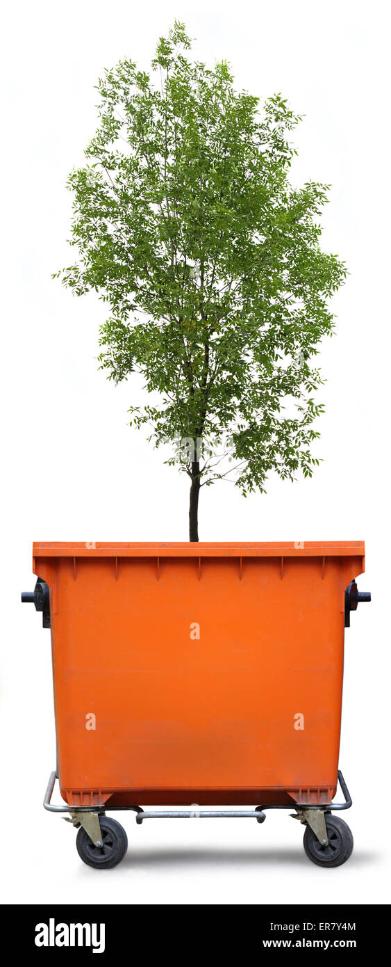 Blank refuse bin with green ash tree on white background Stock Photo ...