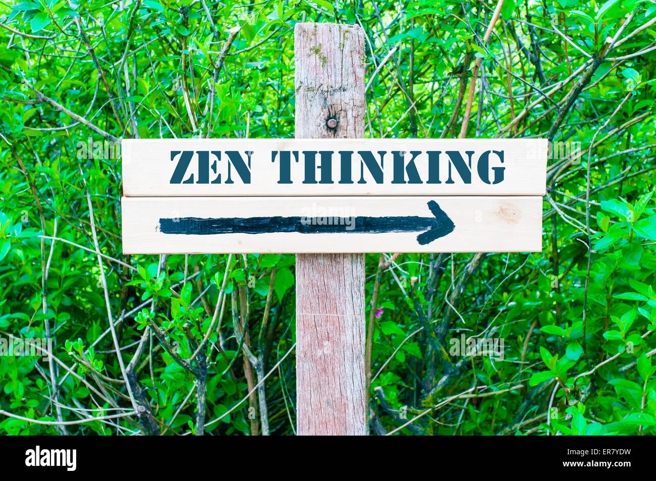 ZEN THINKING written on Directional wooden sign with arrow pointing to ...
