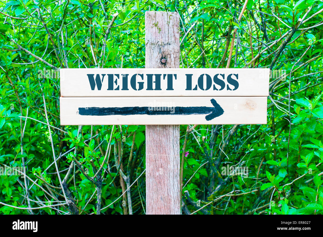 WEIGHT LOSS written on Directional wooden sign with arrow pointing to ...