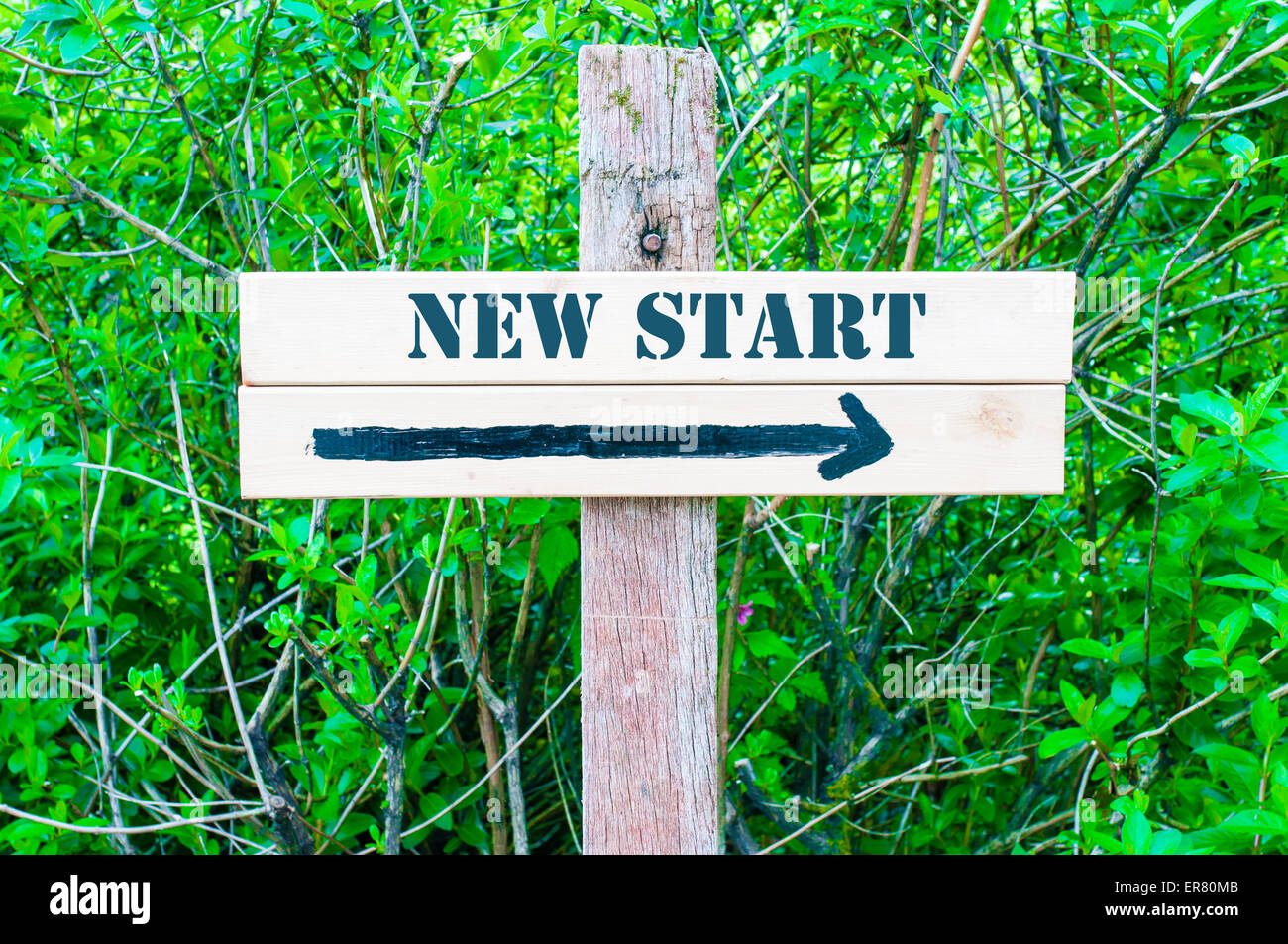 NEW START written on Directional wooden sign with arrow pointing to the ...