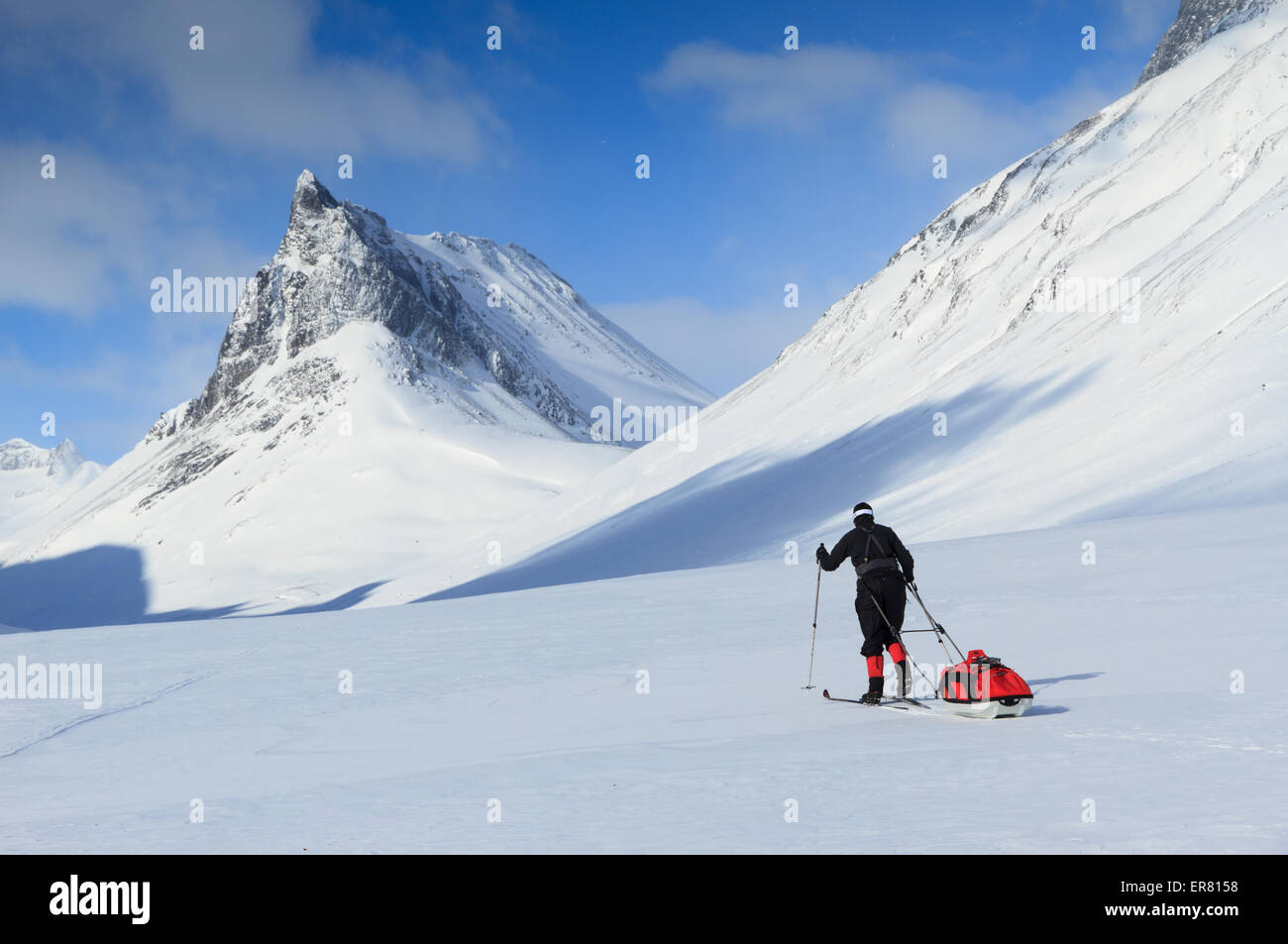 Woman with pulka cross-country skiing in Swedish Lapland Stock Photo ...