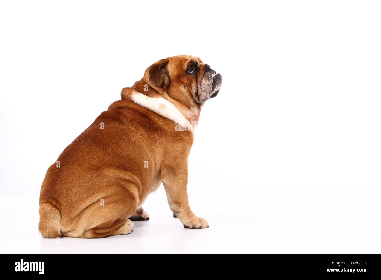 The english landscape Cut Out Stock Images & Pictures - Alamy