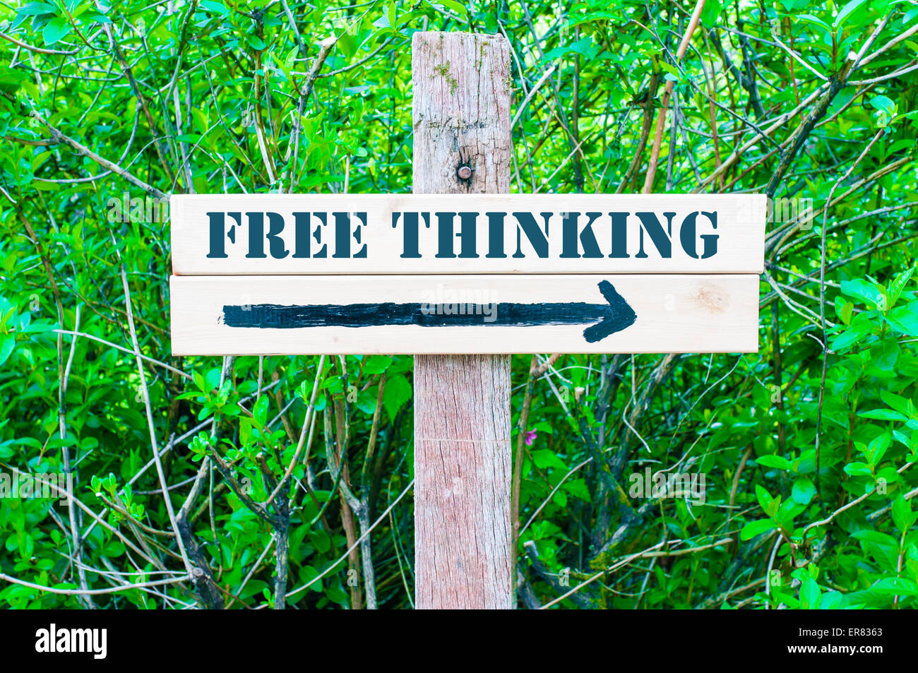 FREE THINKING written on Directional wooden sign with arrow pointing to ...