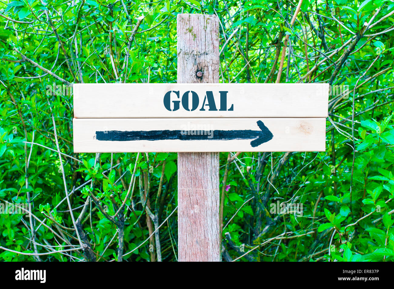 GOAL written on Directional wooden sign with arrow pointing to the ...