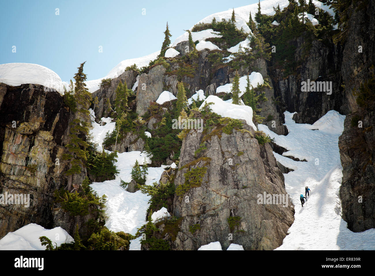 Two backpackers climb a snow filled gully high in the mountains of ...