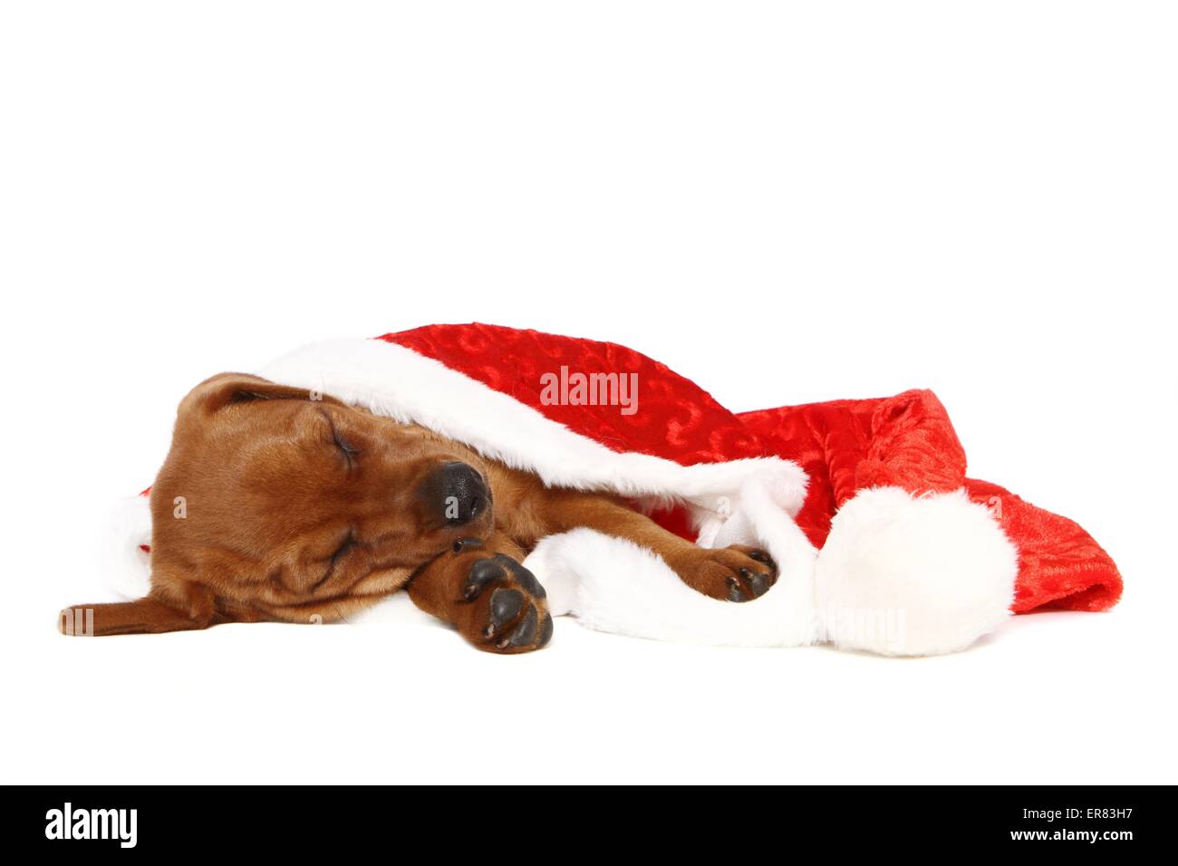 German christmas decoration Cut Out Stock Images & Pictures - Alamy