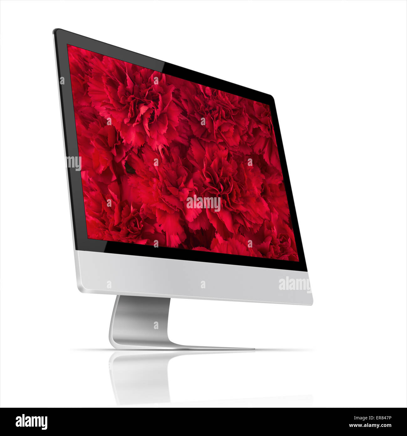 Carnation display Cut Out Stock Images & Pictures - Alamy