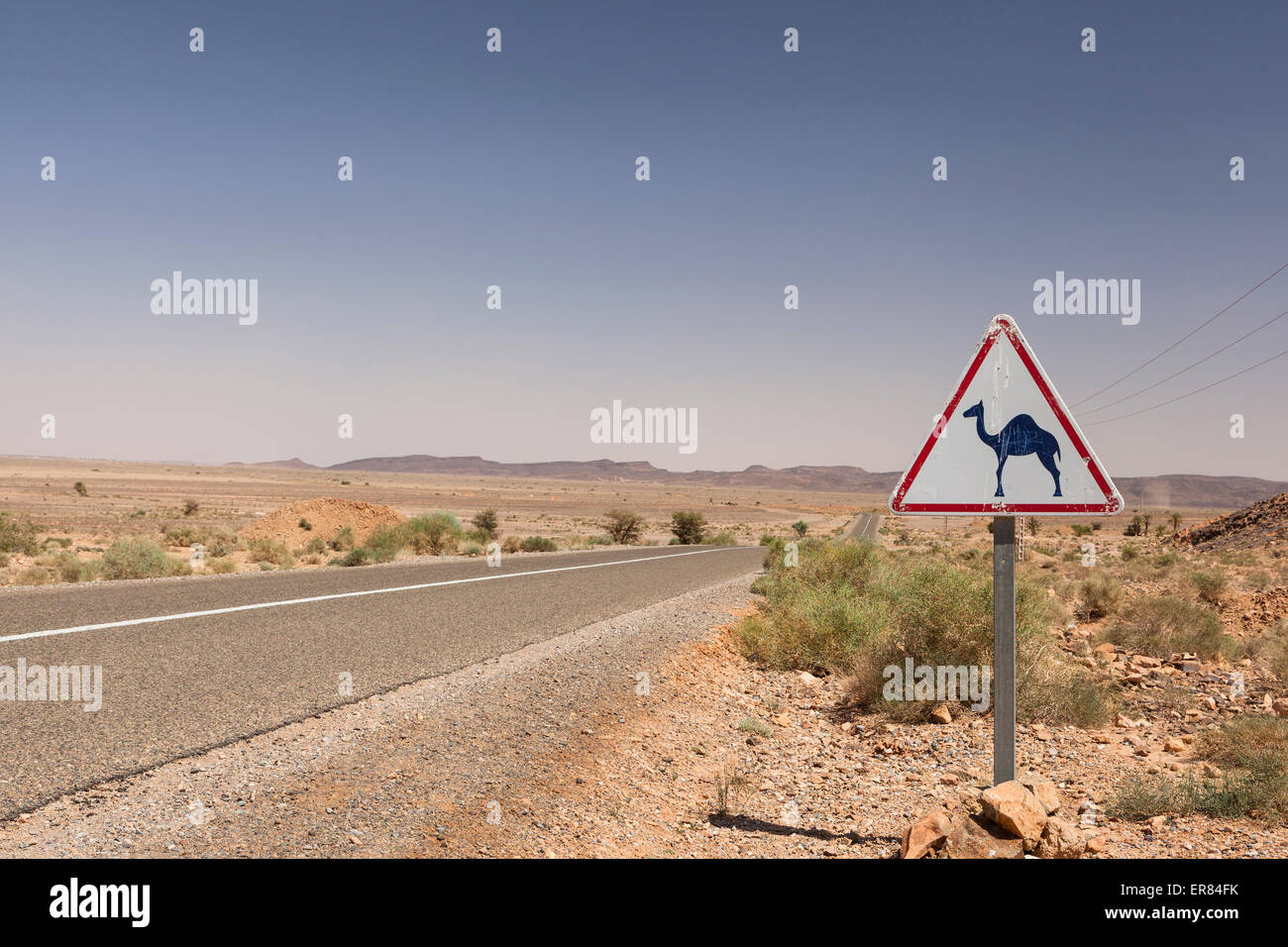 Camel Crossing Sign Stock Photos & Camel Crossing Sign Stock Images - Alamy