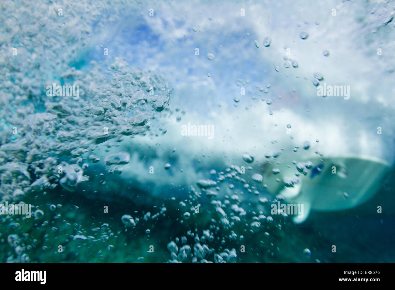 Riding a wave hi-res stock photography and images - Alamy