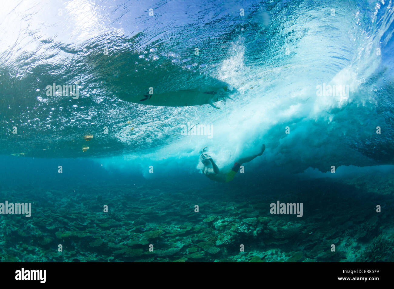 Underwater shot of a surfer falling from his board and almost hitting ...