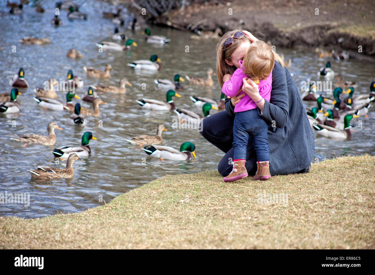 Child feeding duck hi-res stock photography and images - Alamy