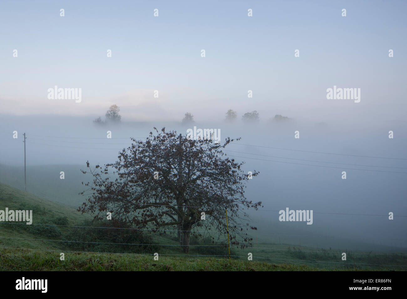 Foggy scenic view hi-res stock photography and images - Alamy