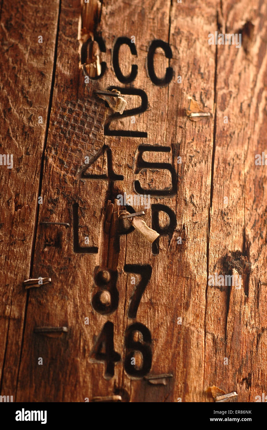 number carved on a trunk Stock Photo - Alamy