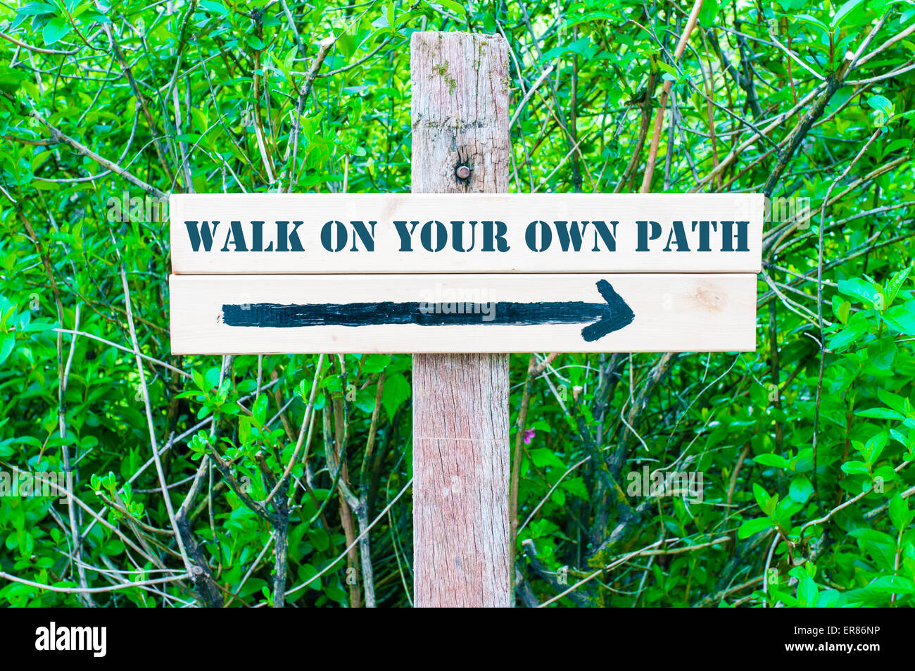 WALK ON YOUR PATH written on Directional wooden sign with arrow ...
