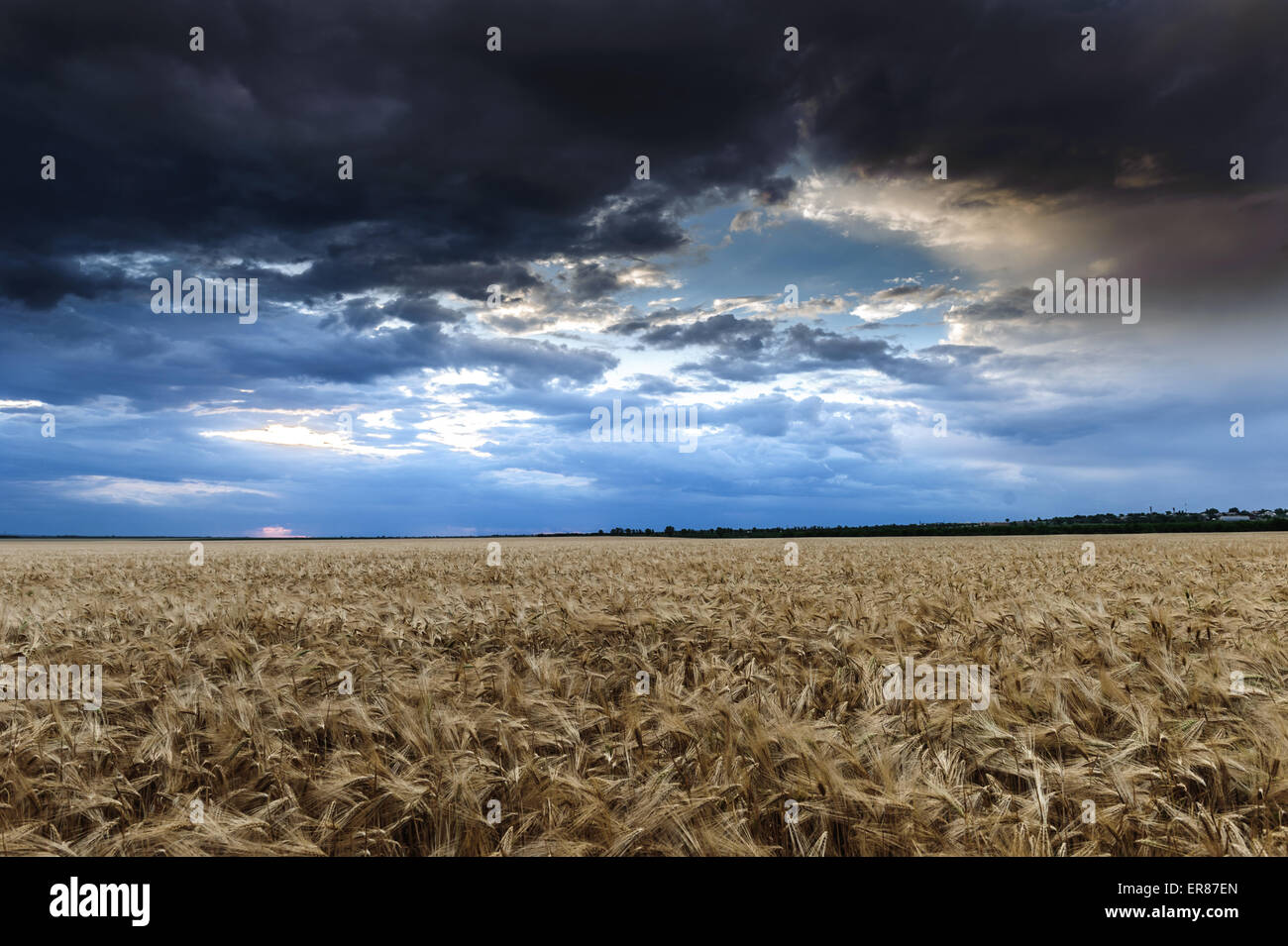 dark dramatic field and sky landscape Stock Photo - Alamy