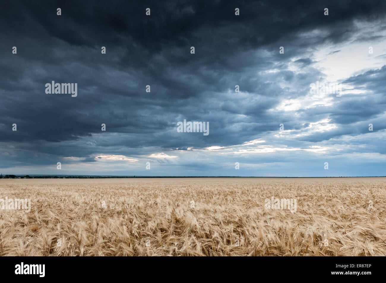 dark dramatic field and sky landscape Stock Photo - Alamy